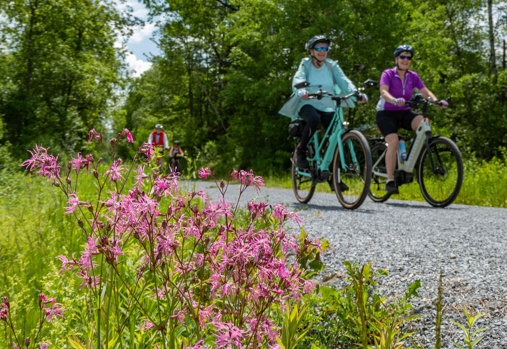 Discover New Adventures: Discovery Bicycle Tours Unveils 2026 Catalog ...